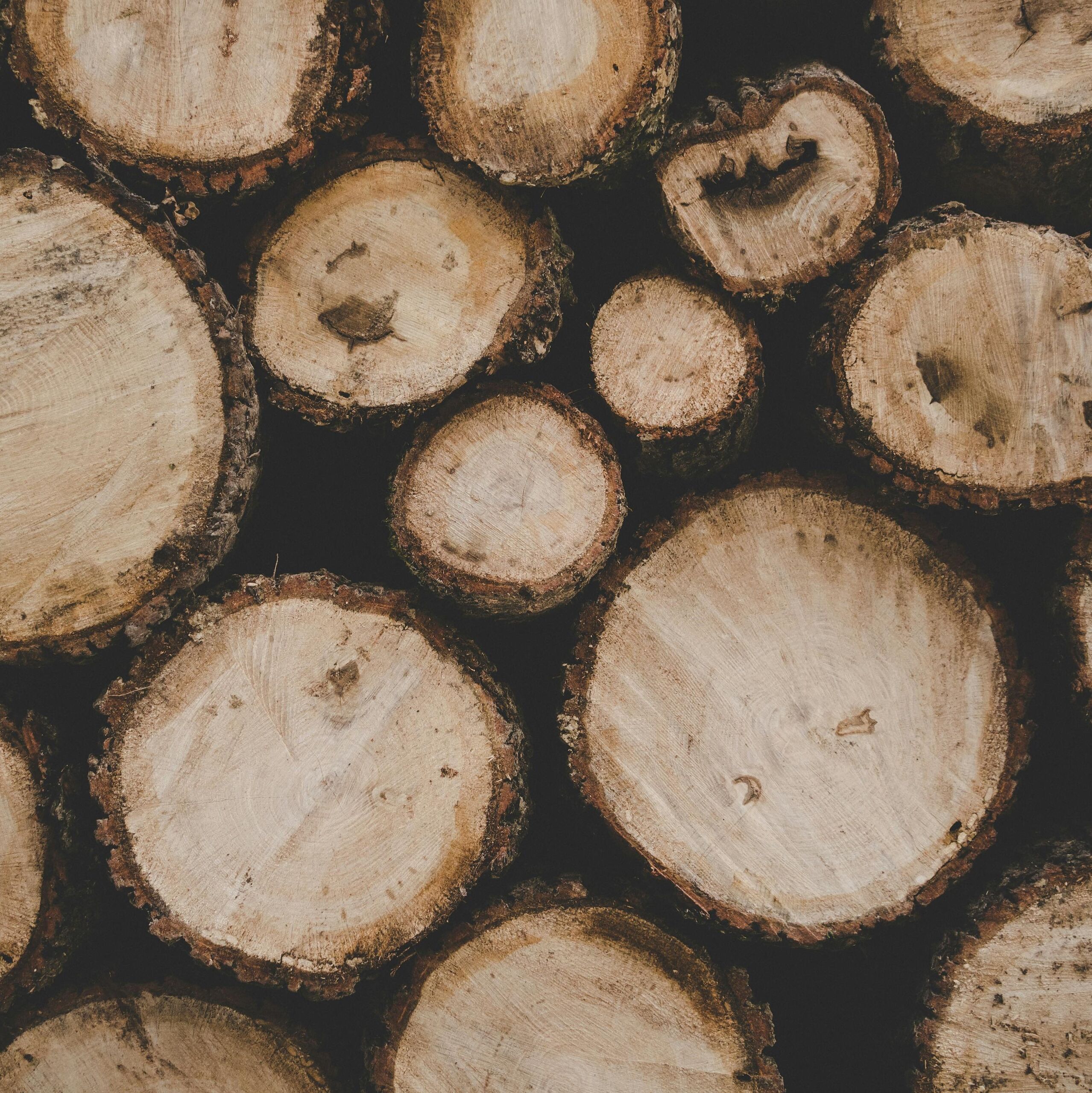 Combiwood Group acquires the Estonian wood supply business from Metsä ...