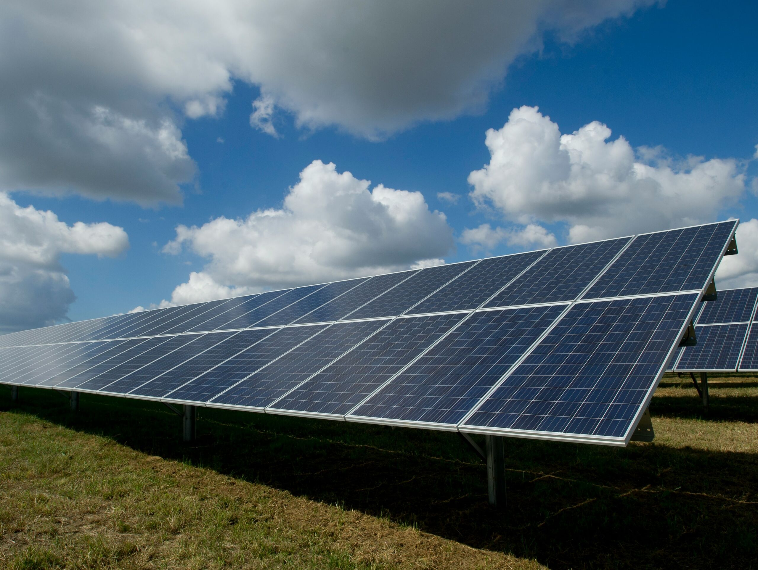 Latvenergo acquires 265 MWp solar park project in Latvia from Danish ...